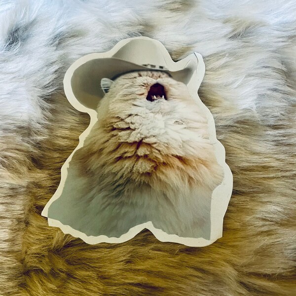Cat Cowboy Stickers - Etsy