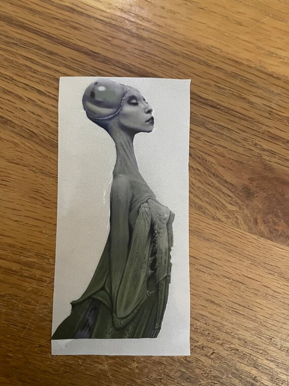 Praying Mantis Sticker - Etsy