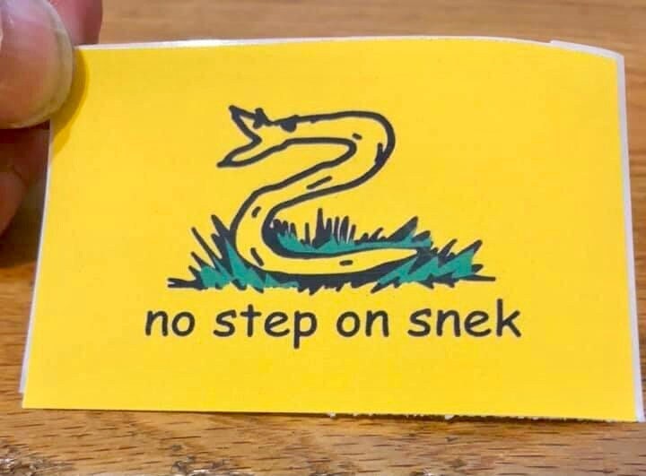 No Step on Snek Sticker | Etsy