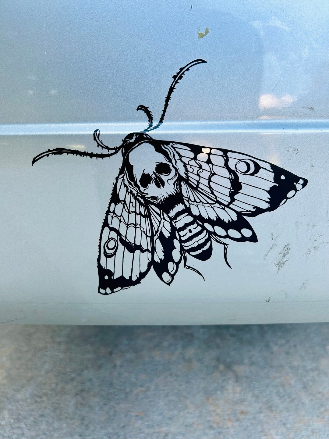 Realistic Deaths Head Moth Decal - Etsy