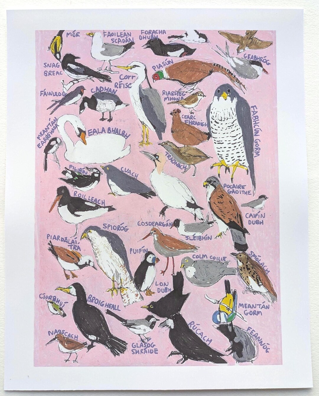Irish Birds Print - Etsy