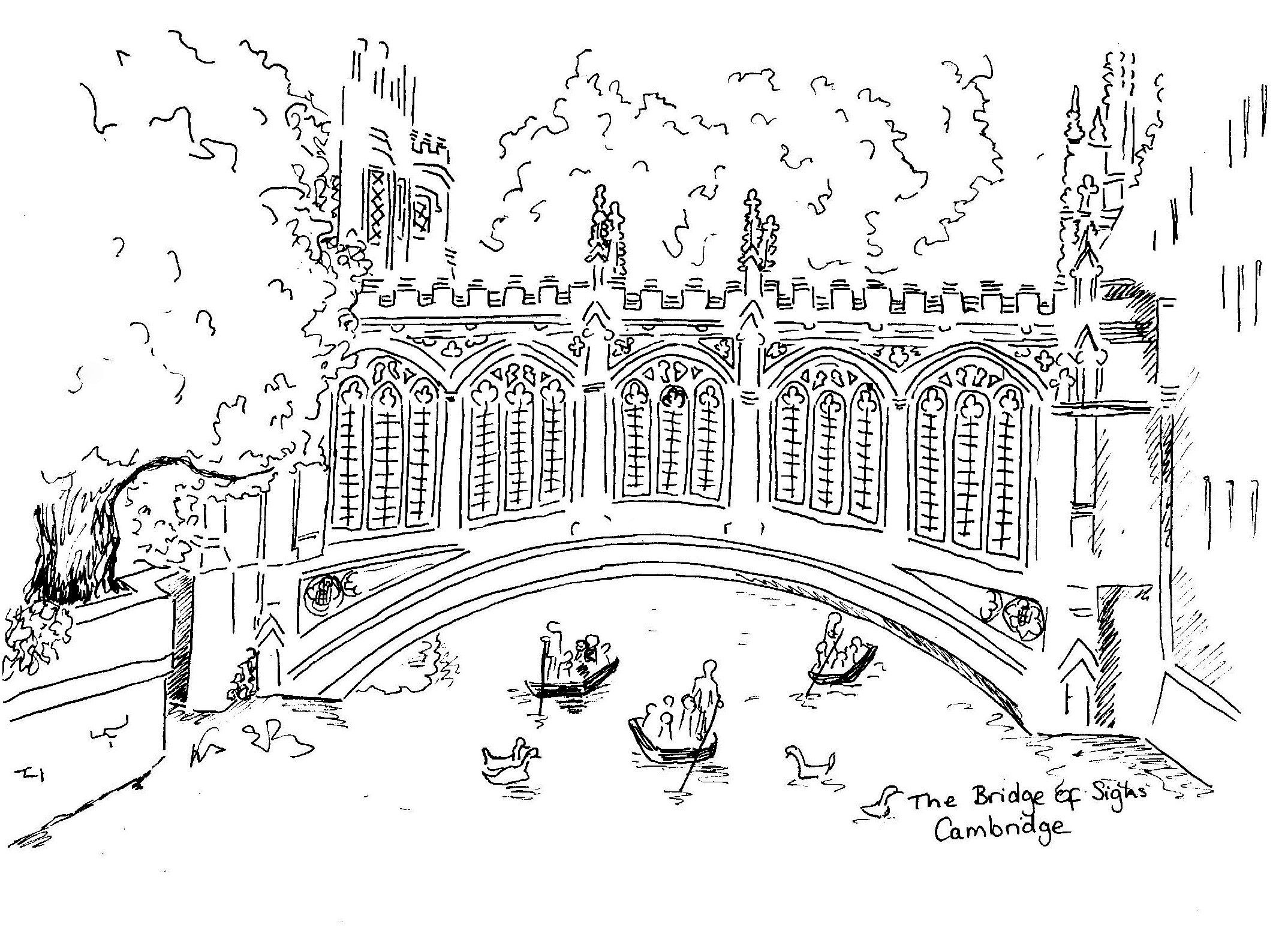 Cambridge Bridge of Sighs Print, Line Drawing Illustration, Black ...