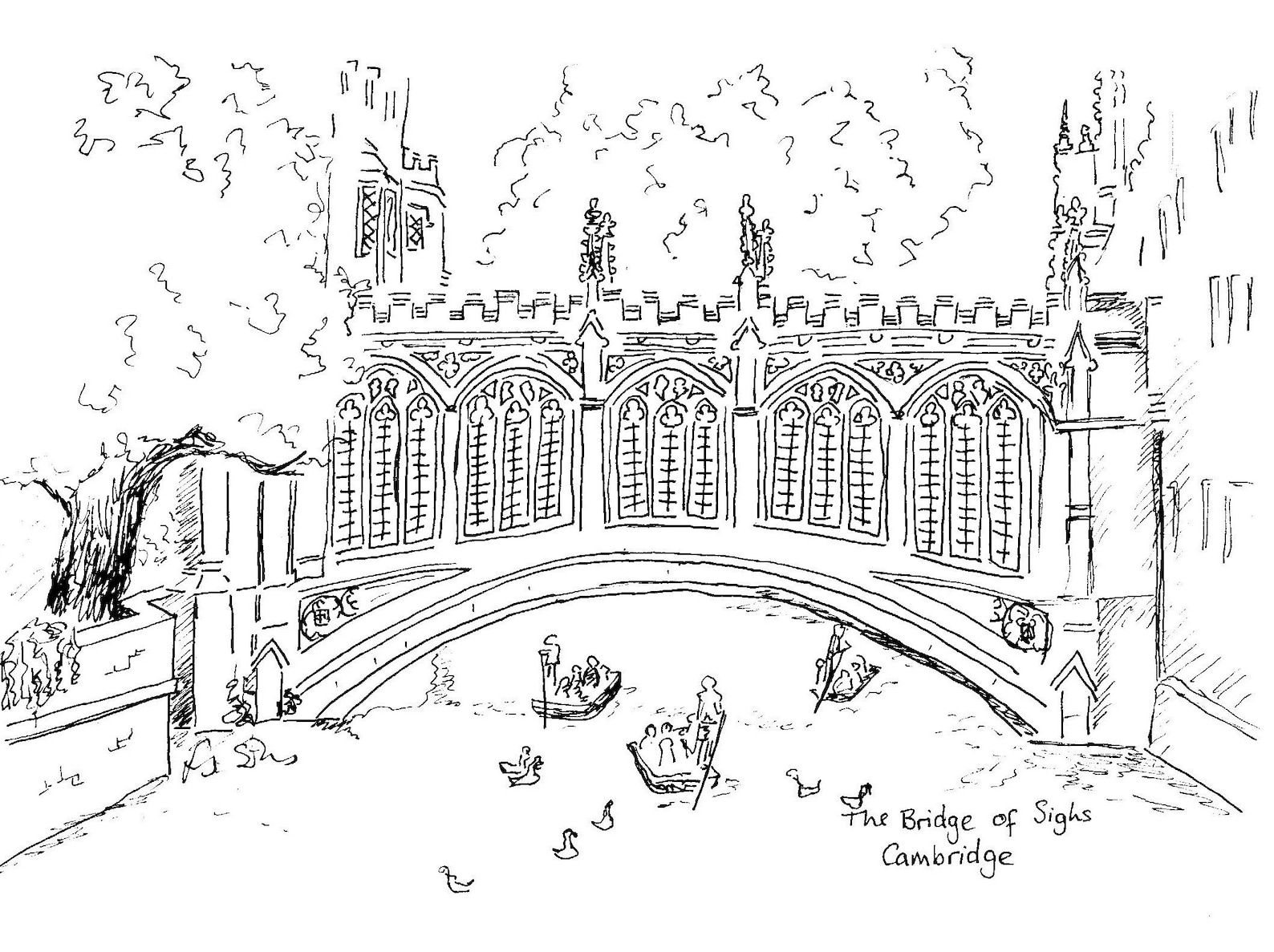 Cambridge Bridge of Sighs Postcard Line Drawing Illustration - Etsy