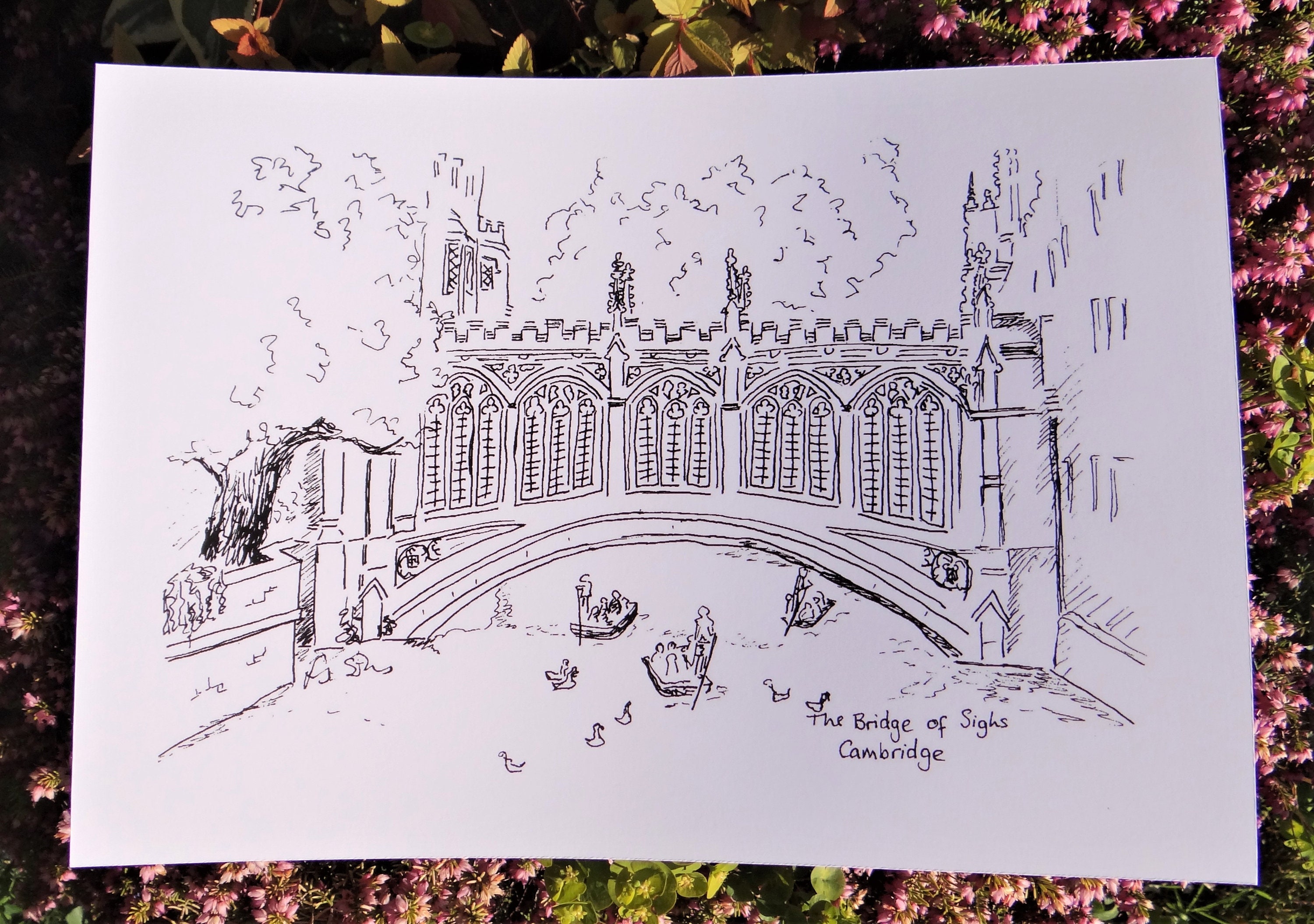 Cambridge Bridge of Sighs Print, Line Drawing Illustration, Black ...