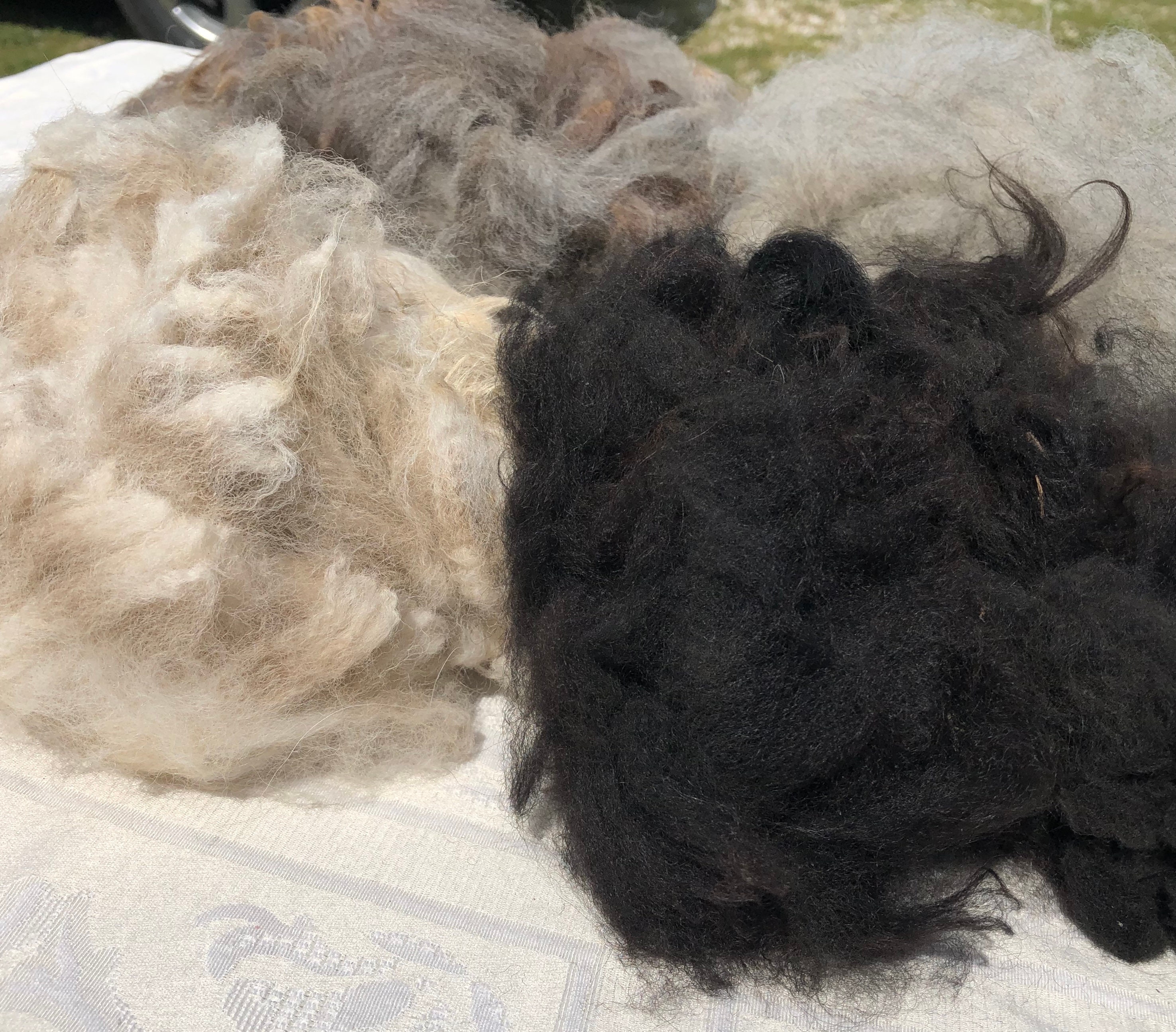Raw Alpaca Fiber - Etsy
