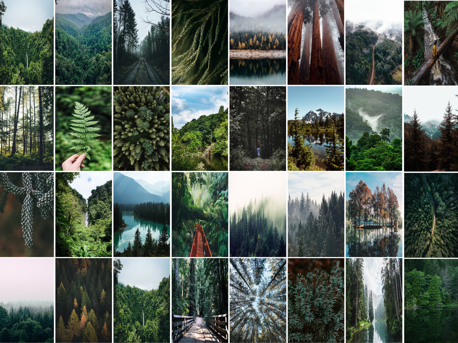 Nature Forest DIGITAL Travel Vision Board Wall Collage Kit | Etsy