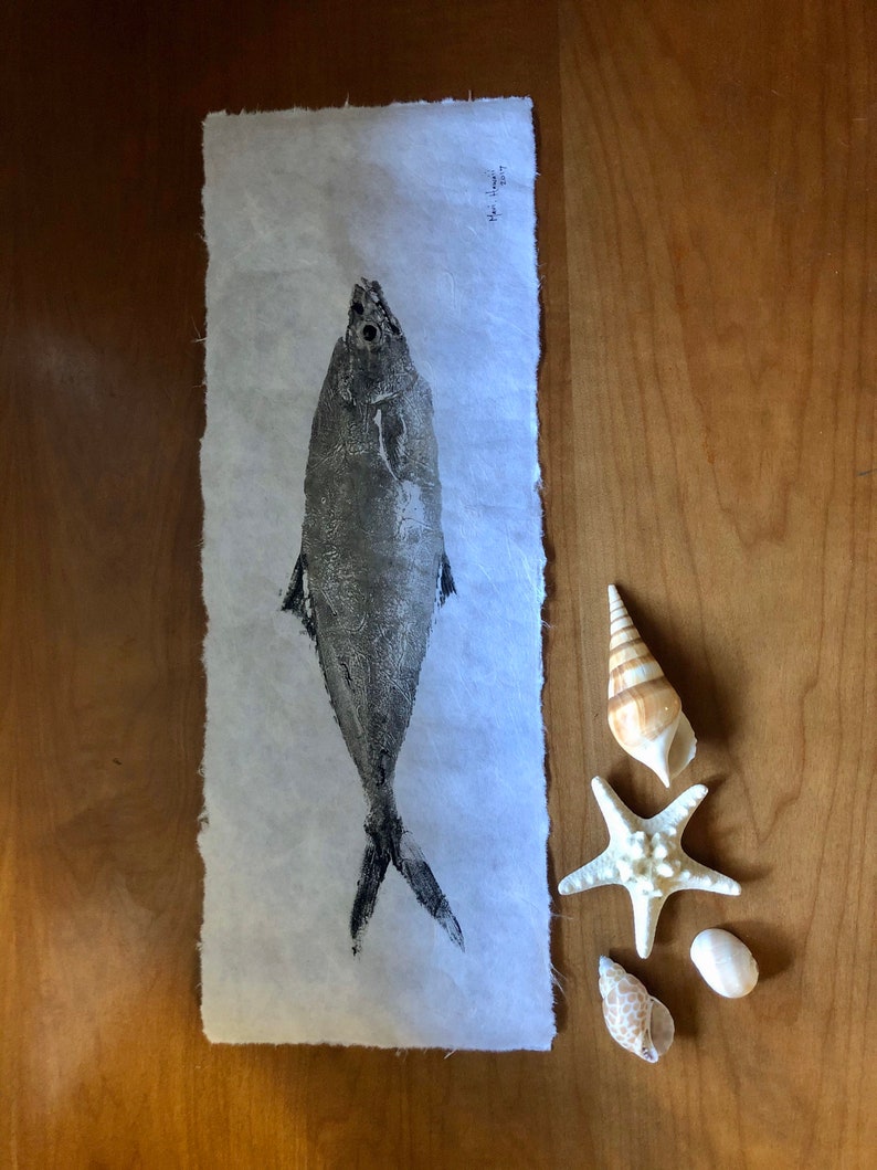 Lai Leatherback Gyotaku Original Life Sized Fish Print Maui Hawaii - Etsy