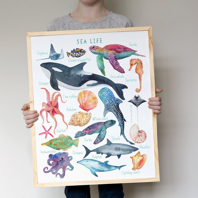 Sea Animals Print - Etsy