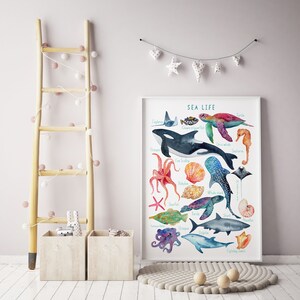 Sea Life Print, Nursery Ocean Decor, Ocean Animals Poster, Nursery Wall ...