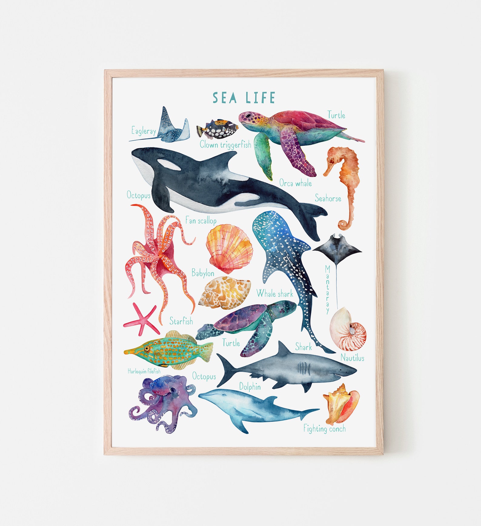 Sea Life Print Nursery Ocean Decor Ocean Animals Poster | Etsy