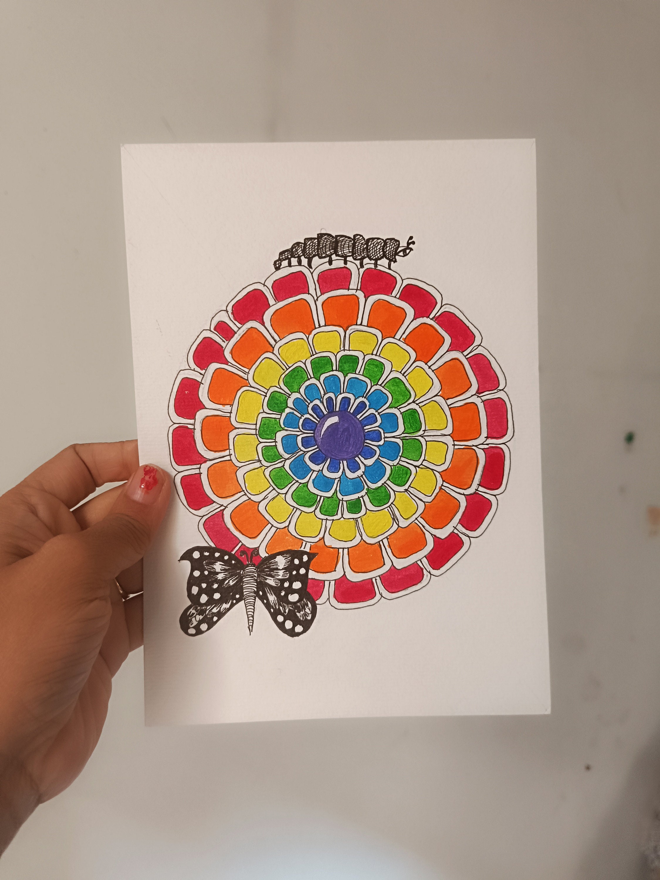 Mandala Art Showing the Life Cycle of a Butterfly, Handmade Painting ...