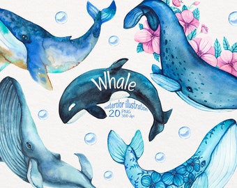 Killer Whale Clipart | Etsy