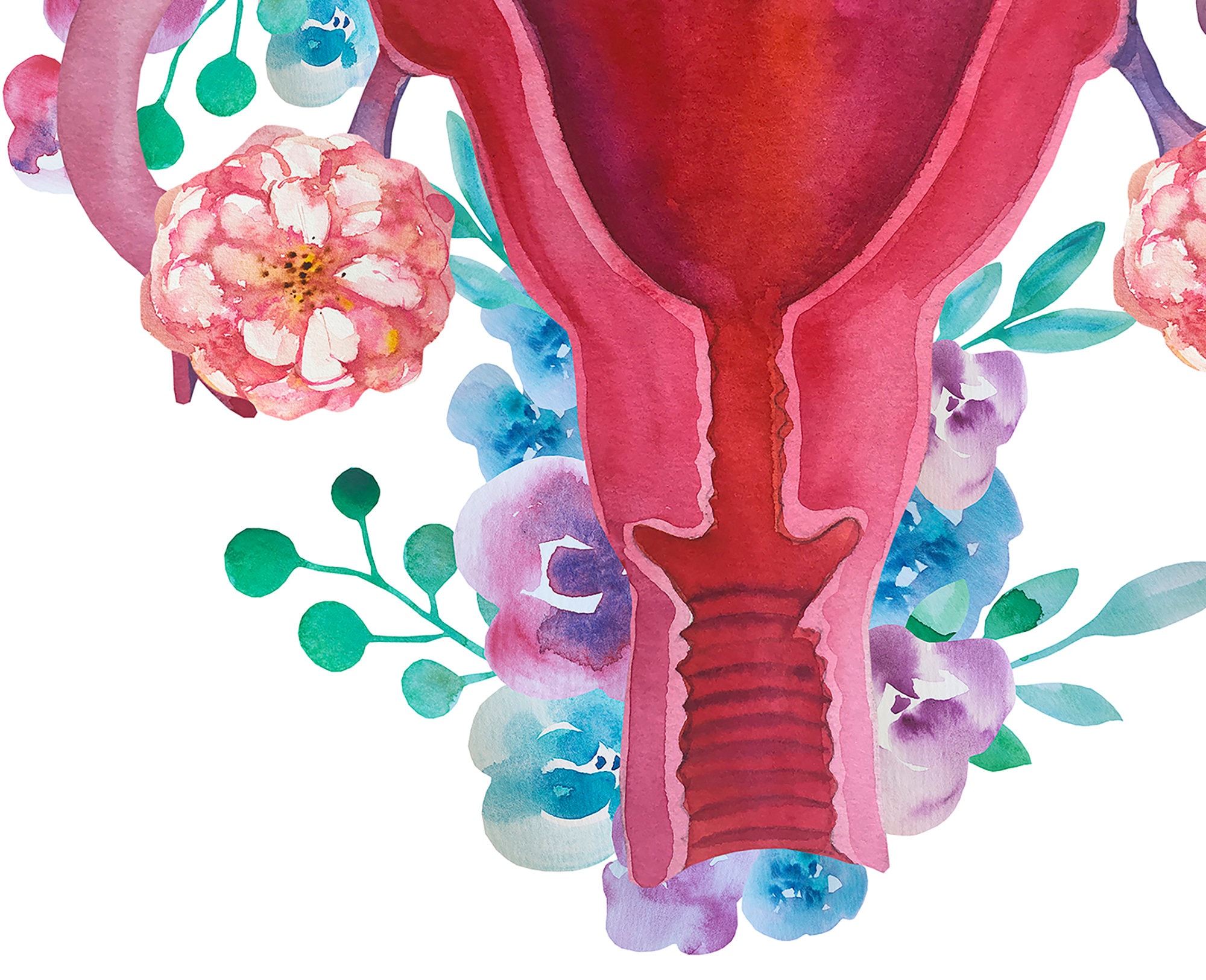 Floral Uterus. Feminism. Watercolor uterus. Digital Uterus | Etsy
