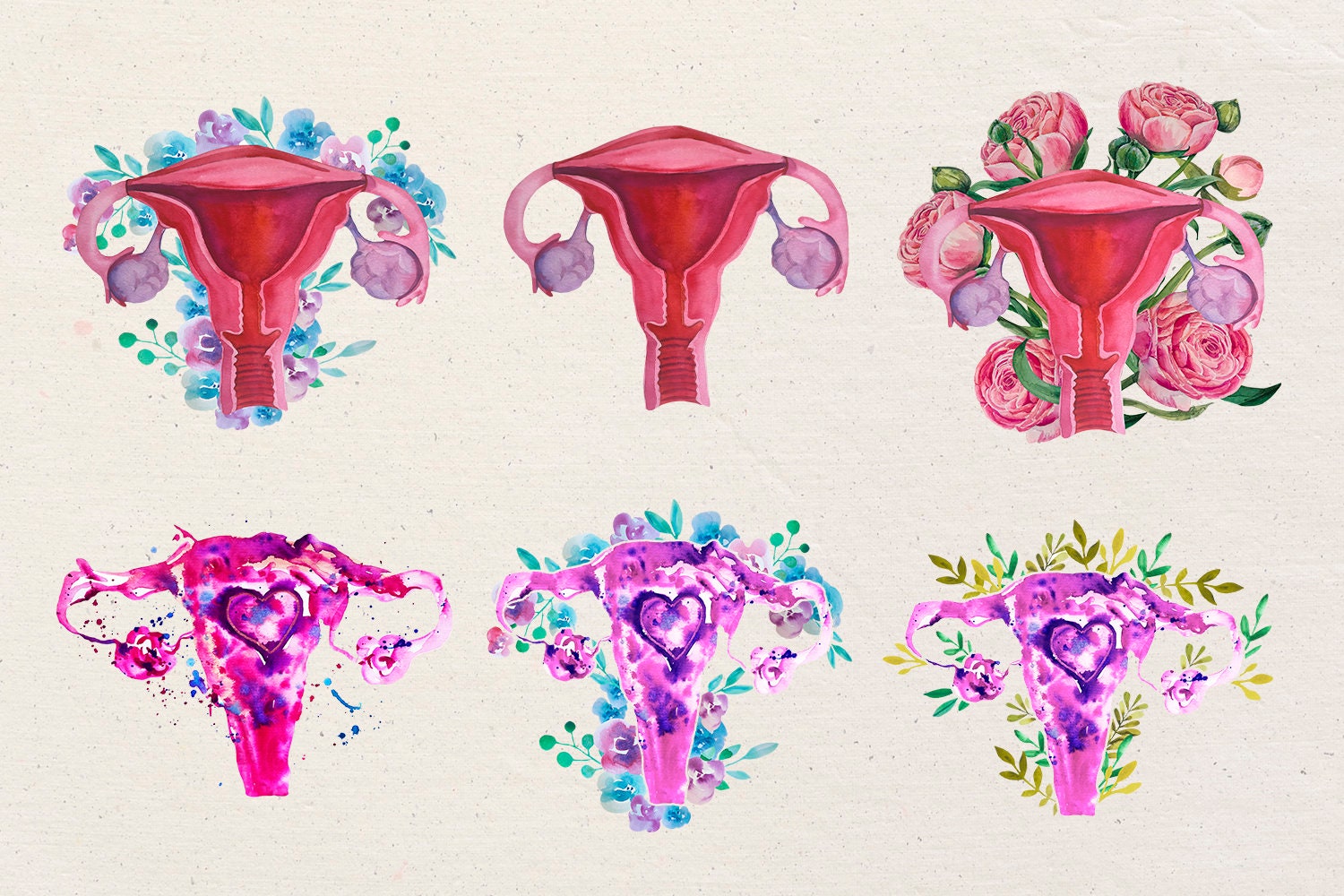 Watercolor Uterus Print Digitaluterus Png Anatomy Etsy