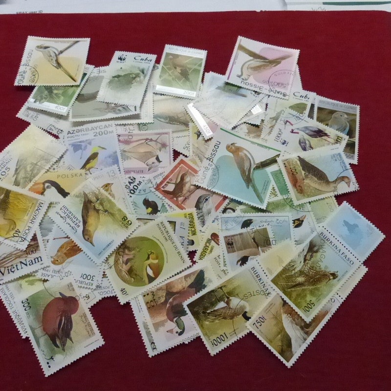 Theme Birds on Stamps - Etsy