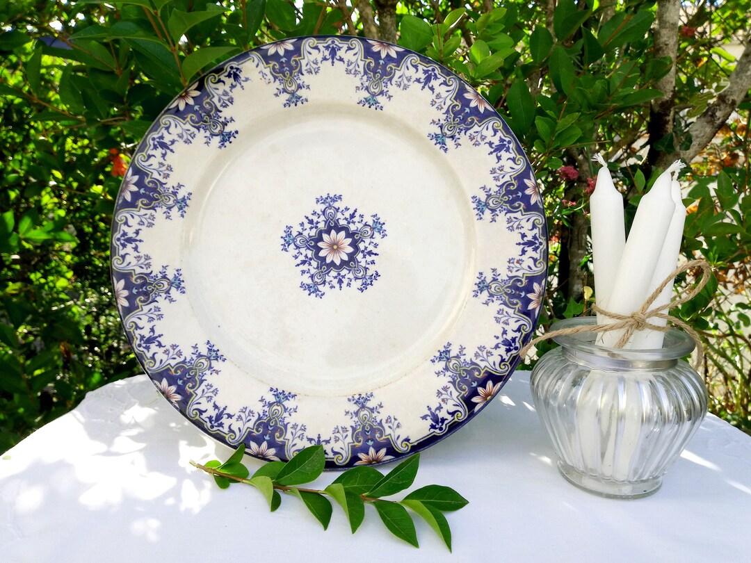 Collector Plate Ironstone, French Antique, Stamped Jules Vieillard ...