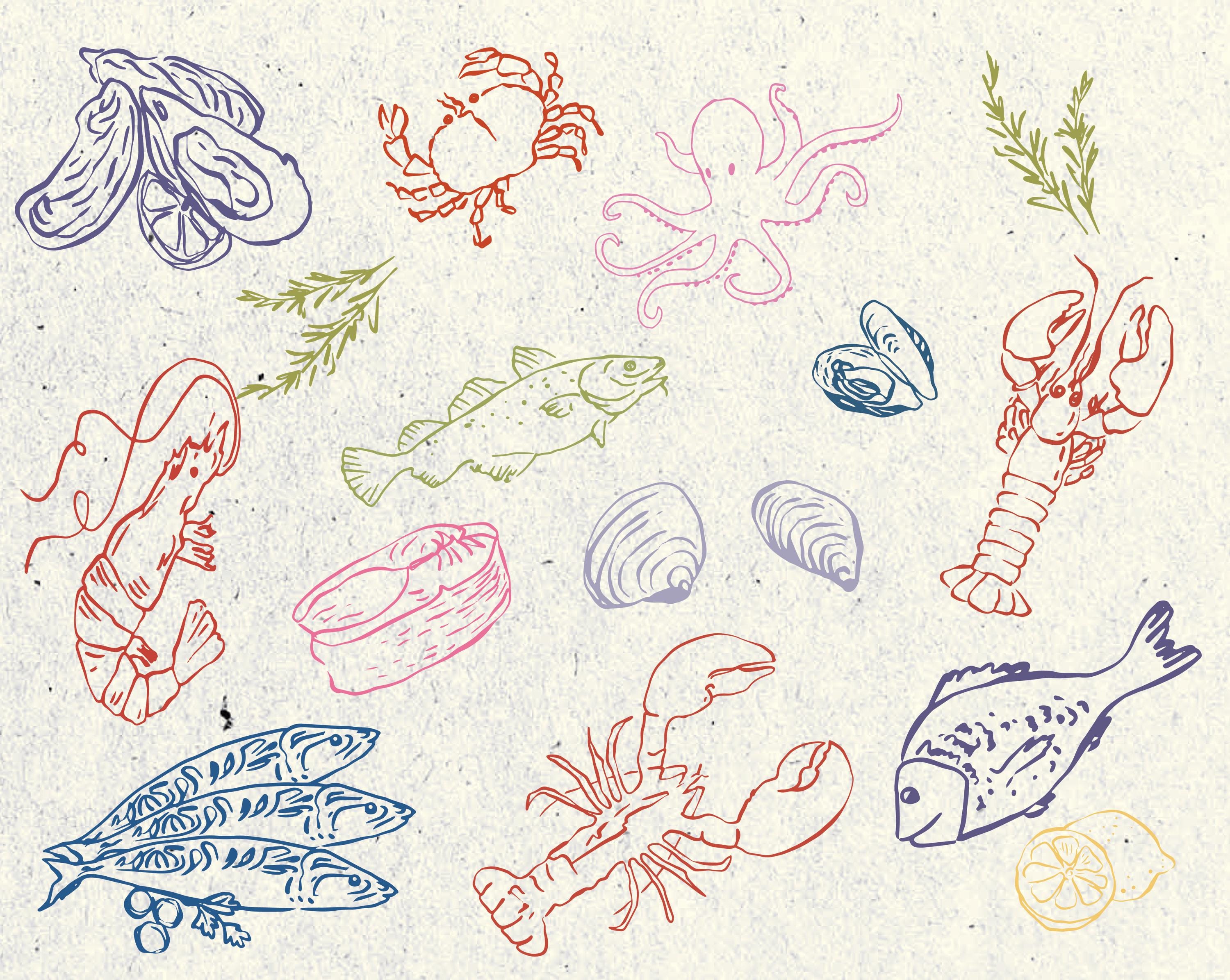 Seafood Illustration SVG PNG Bundle - Hand Drawn Fish Outline, Drawing ...
