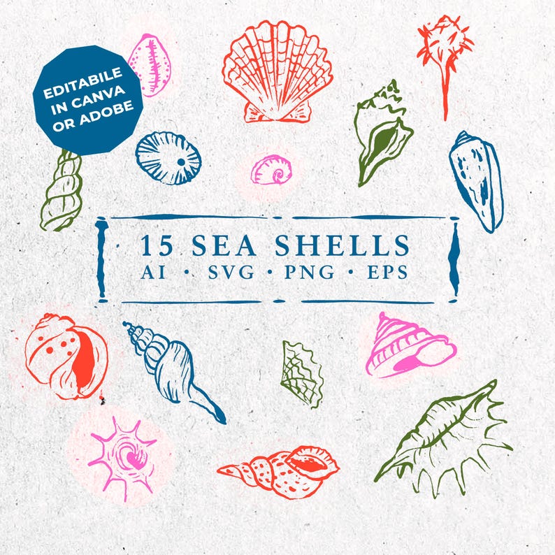Hand-drawn Seashell Clipart Bundle – Whimsical Shell Illustrations (SVG ...