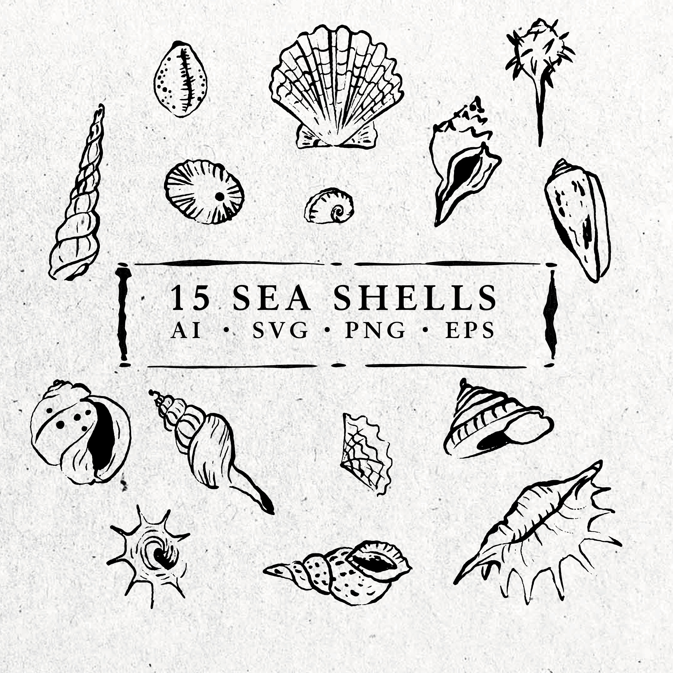 Sea Shell Illustration SVG PNG Bundle - Hand Drawn Whimsical Seashell ...