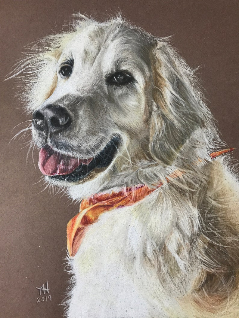Colored Pencil Pet Portrait with FREE COLLAR | Etsy