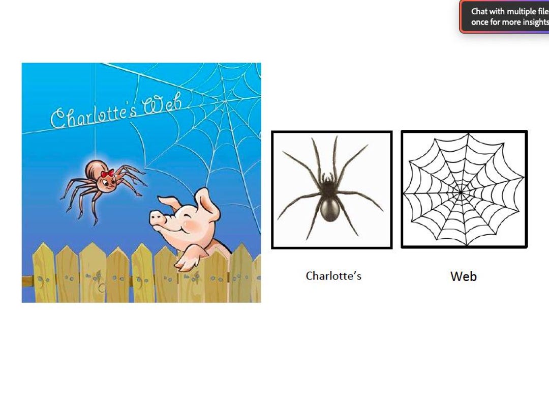 Charlotte's Web Comprehension Questions - Etsy