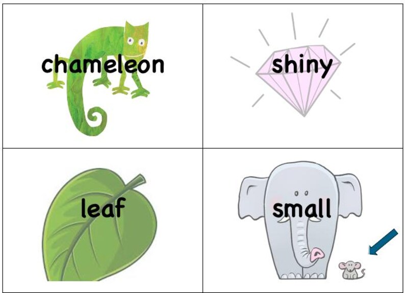 The Mixed-up Chameleon Vocabulary Task Cards - Etsy