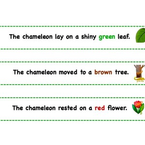 The Mixed-up Chameleon Sequencing Activity - Etsy