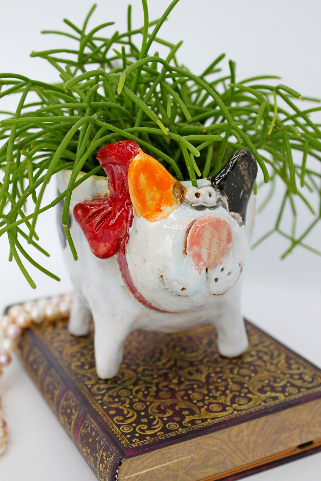 Ceramic Cat Flower Pot for Plants, Cactus or Succulents Cat Shaped ...