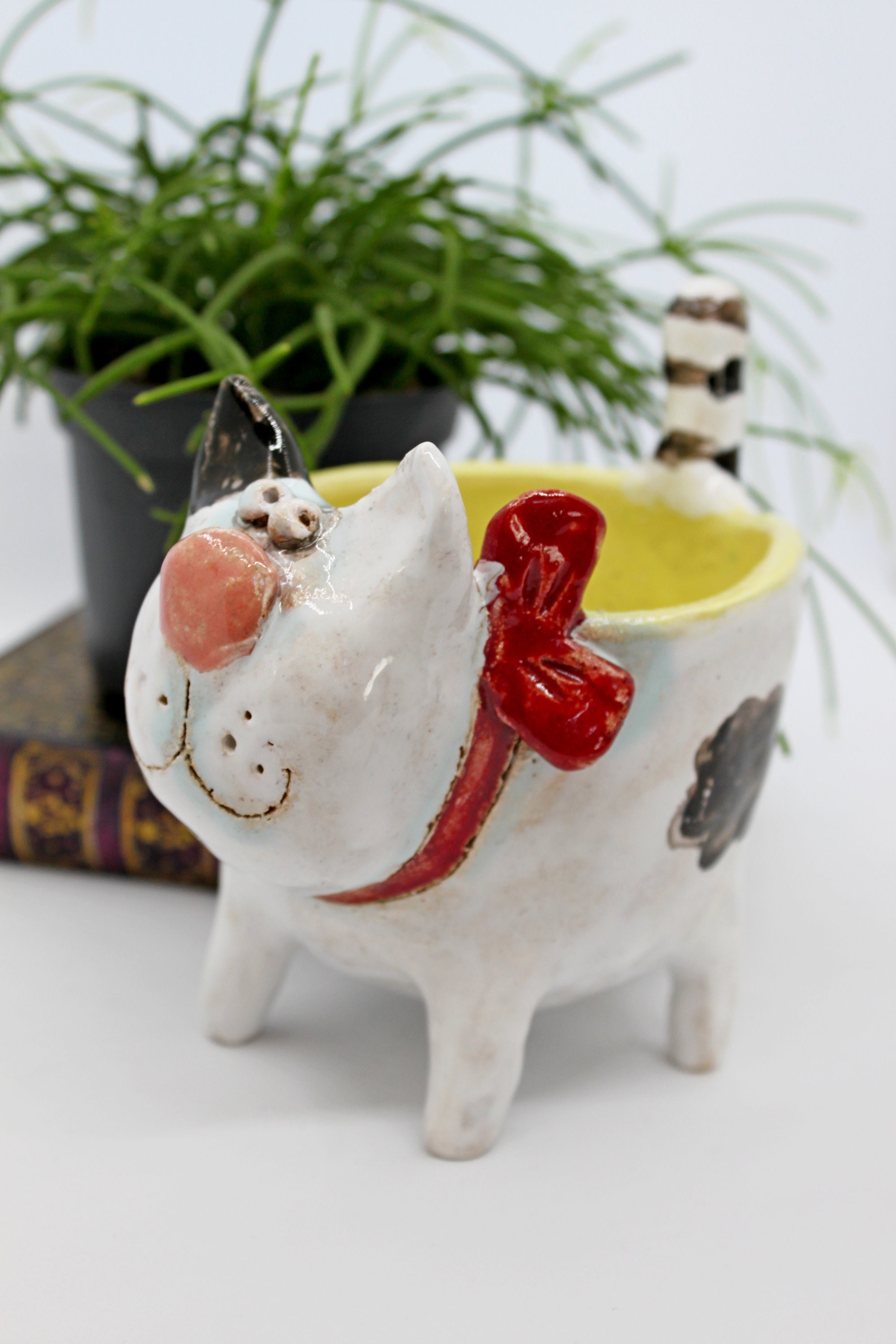 Ceramic cat flower pot for plants cactus or succulents cat | Etsy