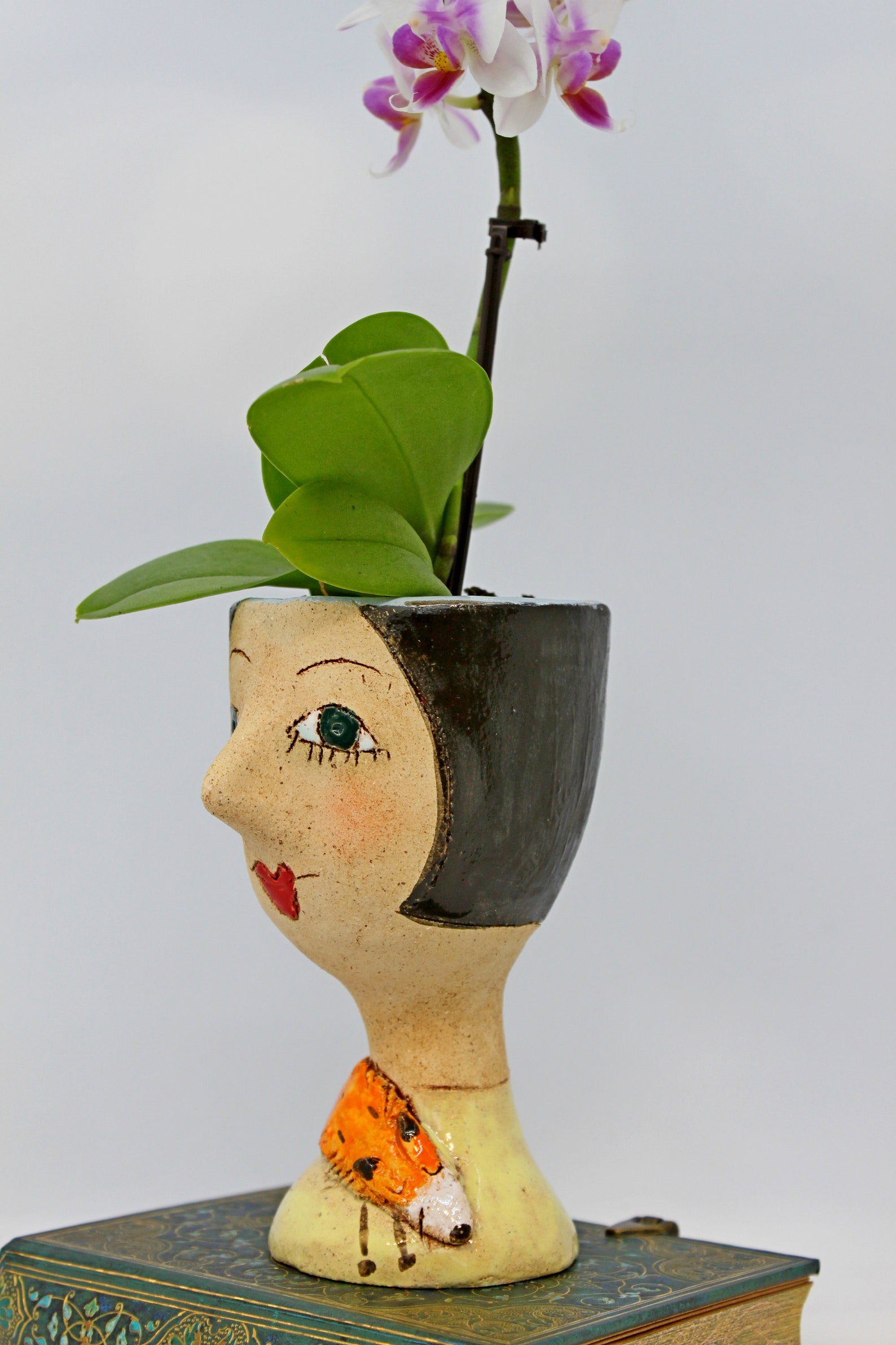 Unique Ceramic Head Planter Lady's Face Plant Pot Cactus - Etsy