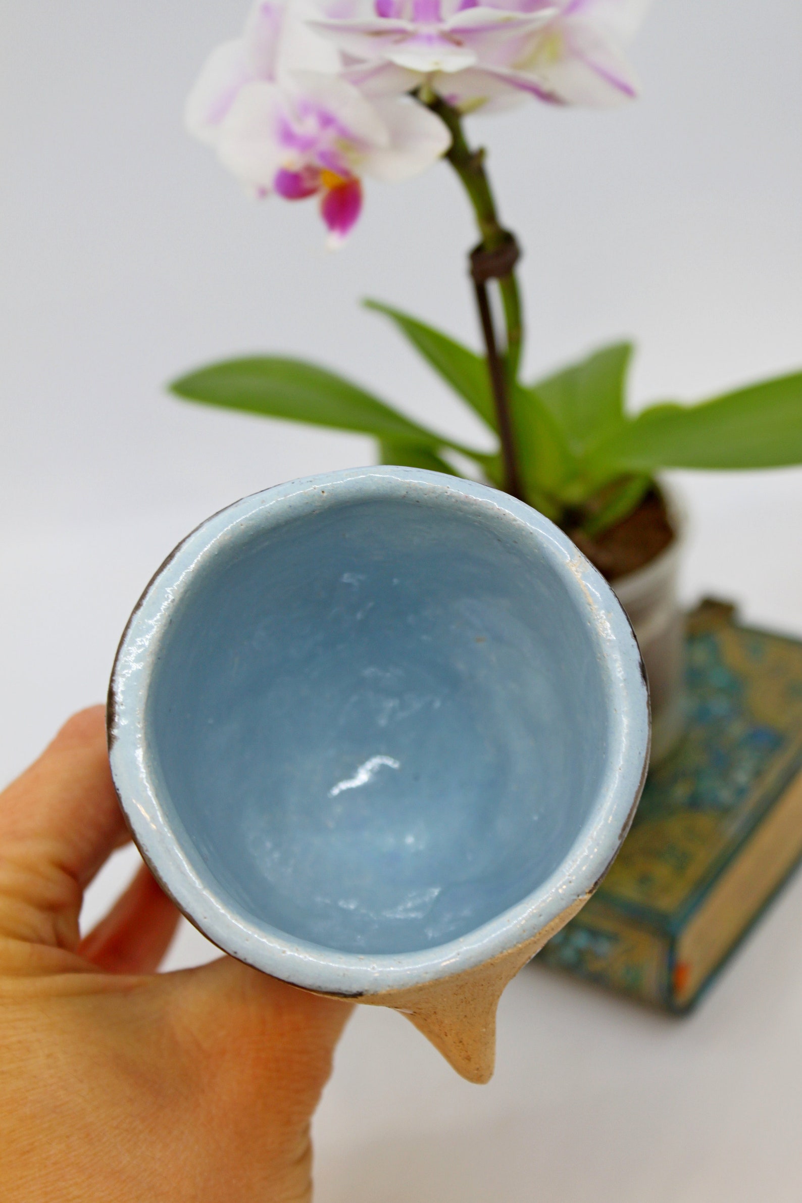 Unique Ceramic Head Planter Lady's Face Plant Pot Cactus - Etsy