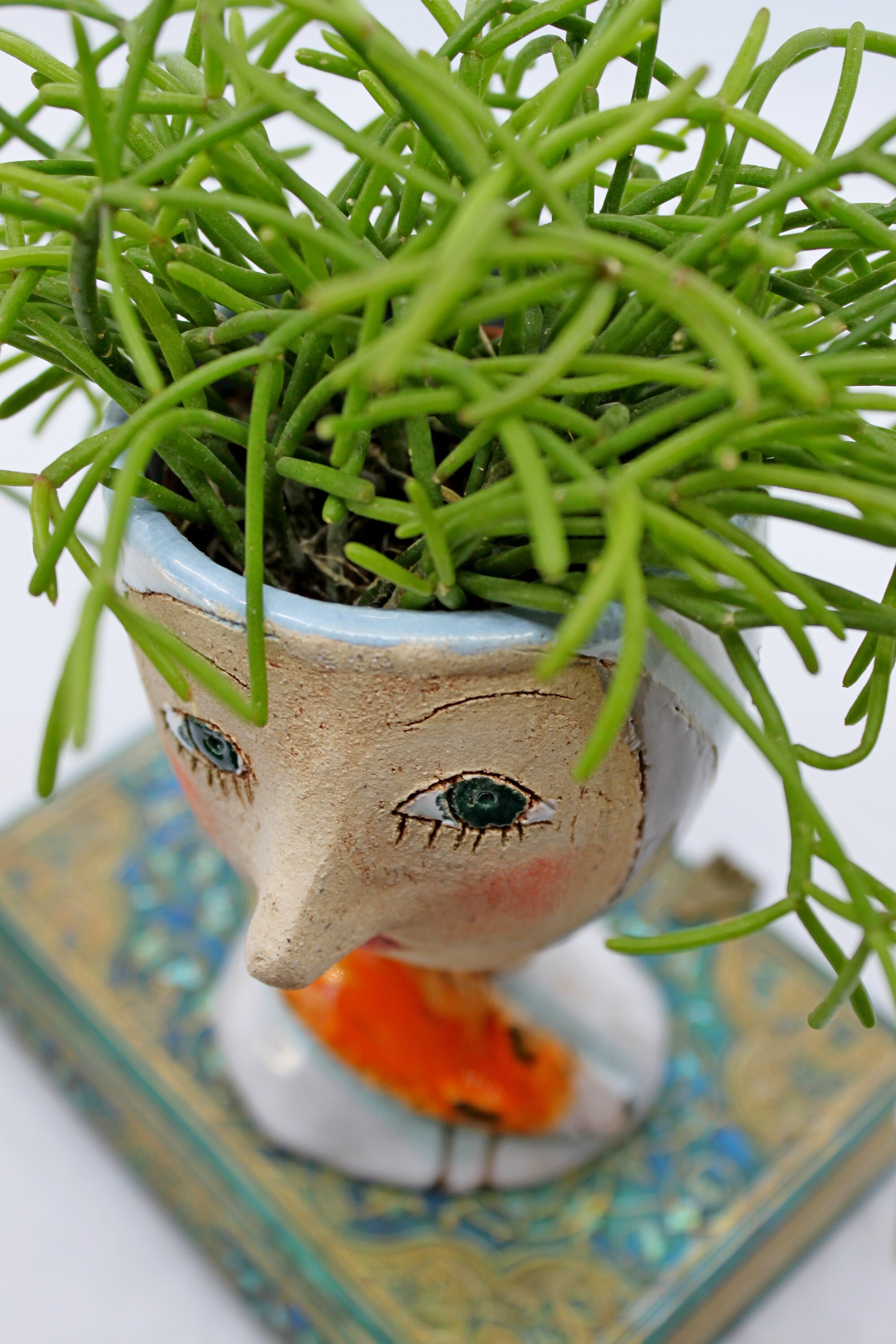 Unique Ceramic Head Planter Lady's Face Plant Pot Cactus | Etsy
