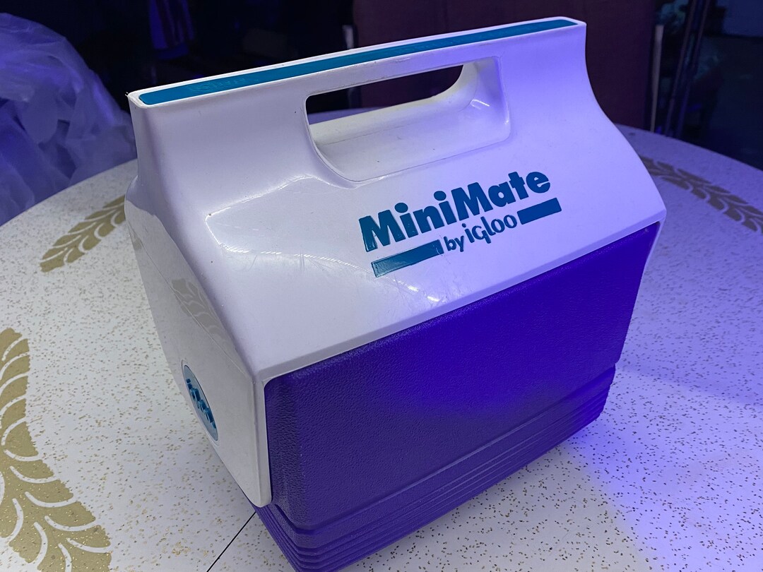 Vintage Igloo Minimate Cooler - Etsy