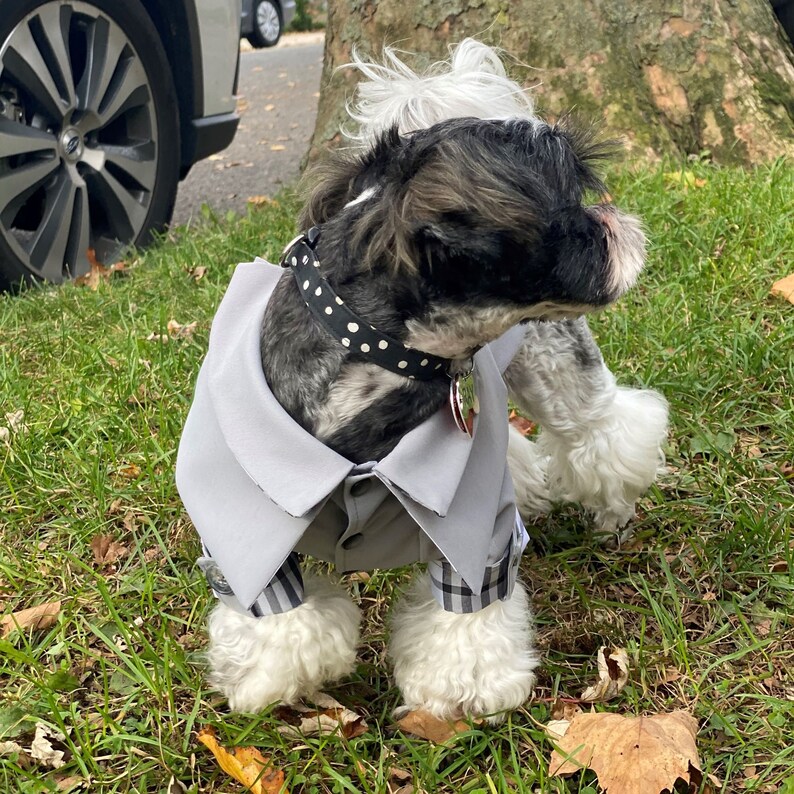 Gray Modern Classic Dog Trench Coat. | Etsy