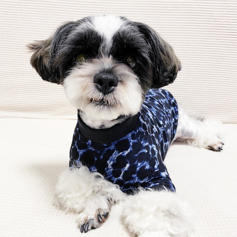 Blue Leopard Dog Shirt. - Etsy