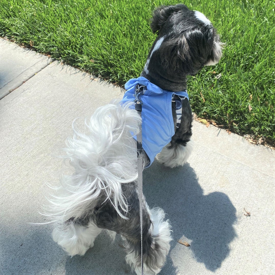 UV Protection Cooling Dog Crop Tops (orange, Blue, Yellow) - Etsy