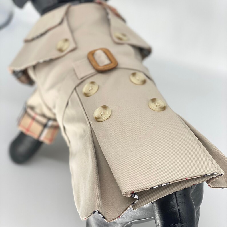 Dog In Trench Coat at Don Maggie blog