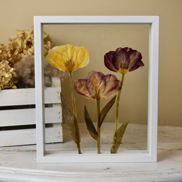Double Glass Frame - Etsy