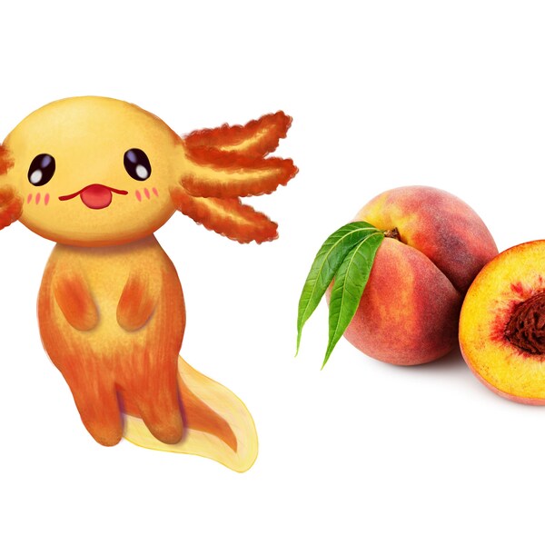 Vtuber Model Axolotl - Etsy