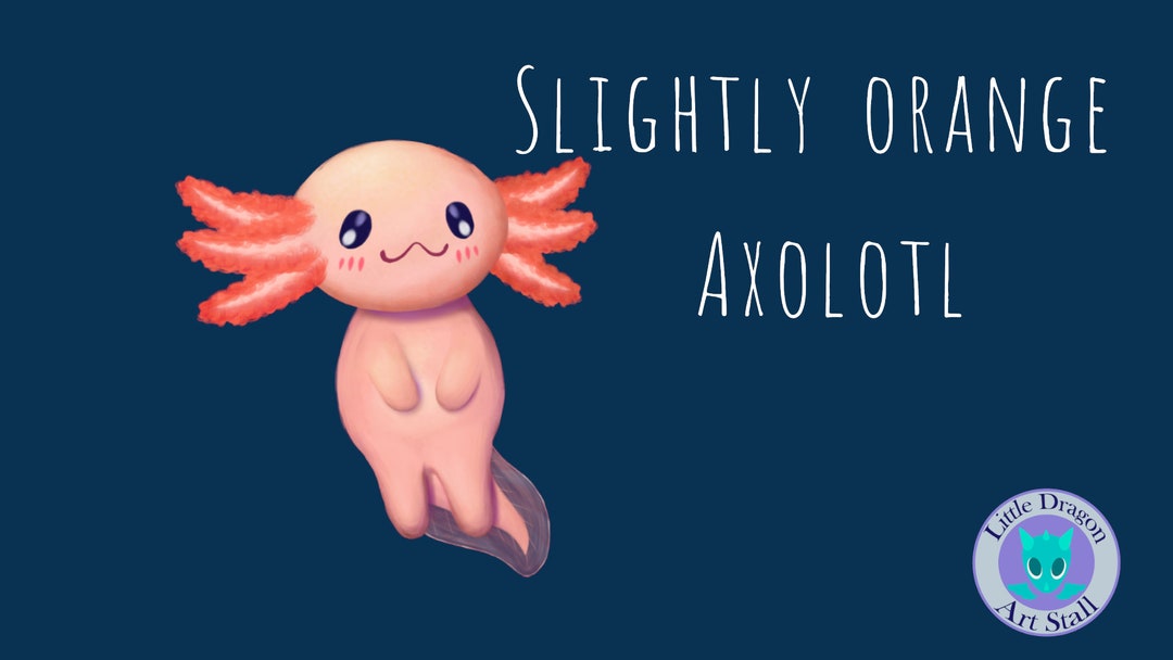 Vtuber Slightly Orange Axolotl Live2d Avatar - Etsy