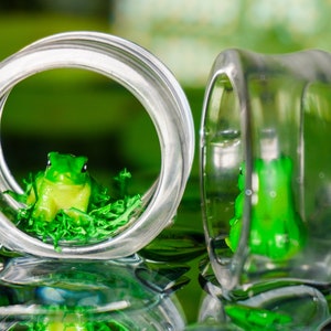 It’s a Froggy Frog World!! Resin Custom Double Flared Spacer Plugs Frog ...