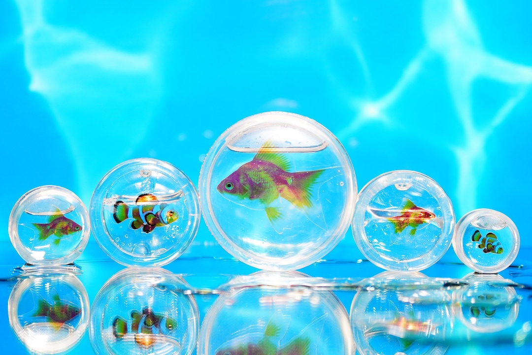 FISH BOWL Gold Fish Plugs Octopus Fishies Koi Fish Aquatic Themed Ear ...
