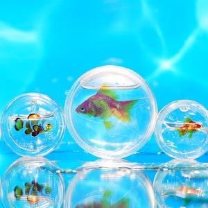 FISH BOWL Gold Fish Plugs Octopus Fishies Koi Fish Aquatic Themed Ear ...