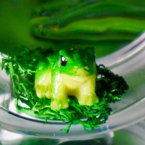 It’s a Froggy Frog World!! Resin Custom Double Flared Spacer Plugs Frog ...