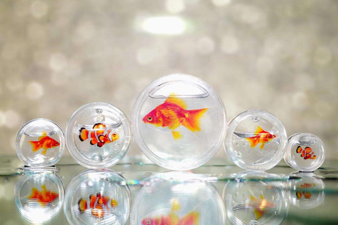 FISH BOWL Water Shaker Gold Fish Plugs Octopus Fish Bow Koi Fish ...