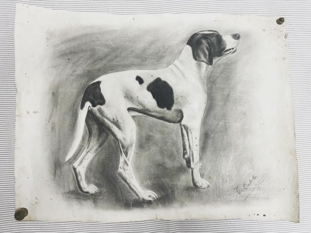 Ancient Drawing of a Dog 1900 - Etsy