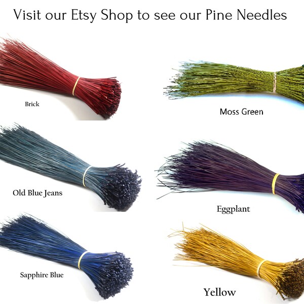 Dyed Pine Needles - Etsy