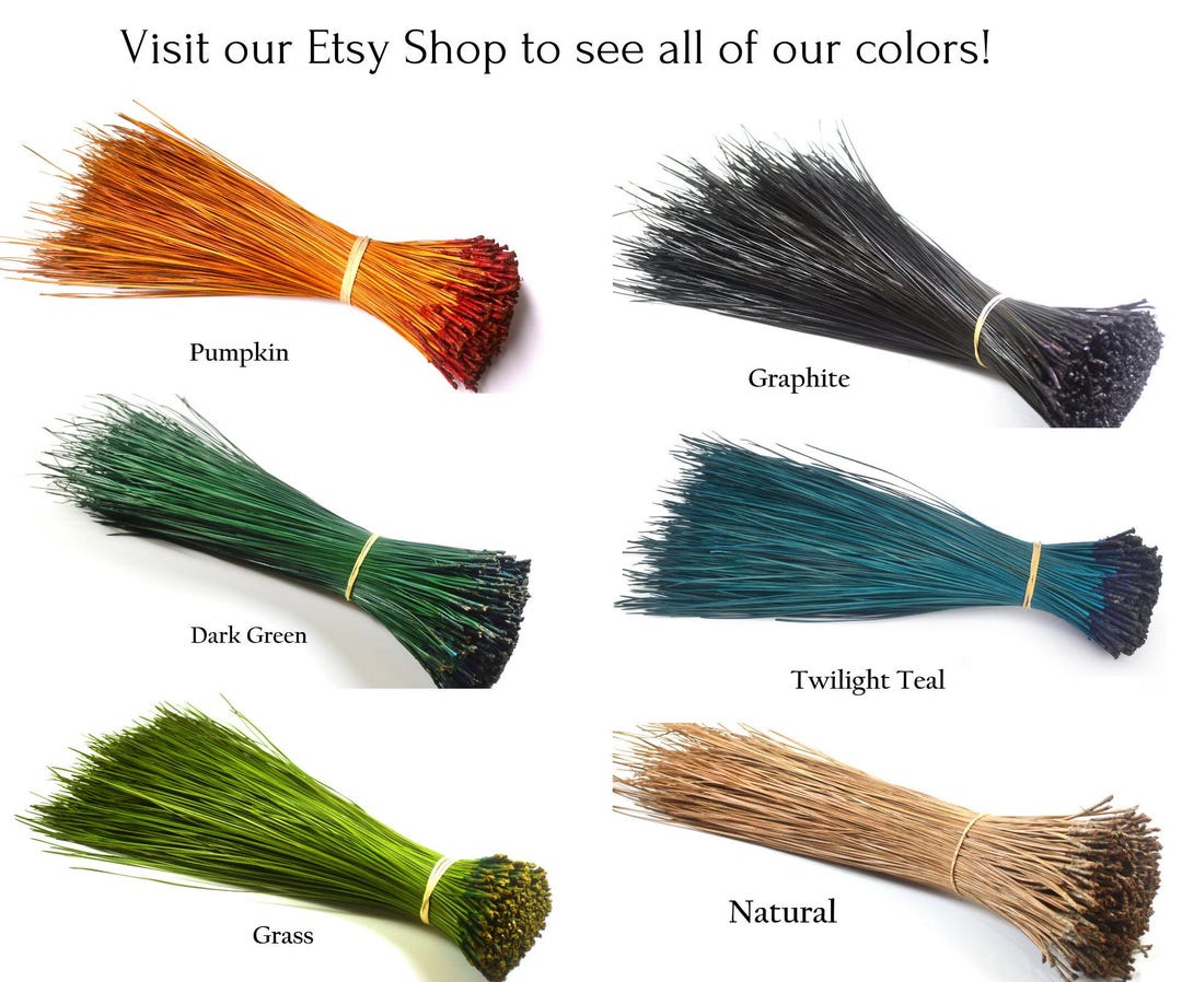 Up to 16 Inches Florida Long-leaf Dyed Pine Needles for Basket Making ...