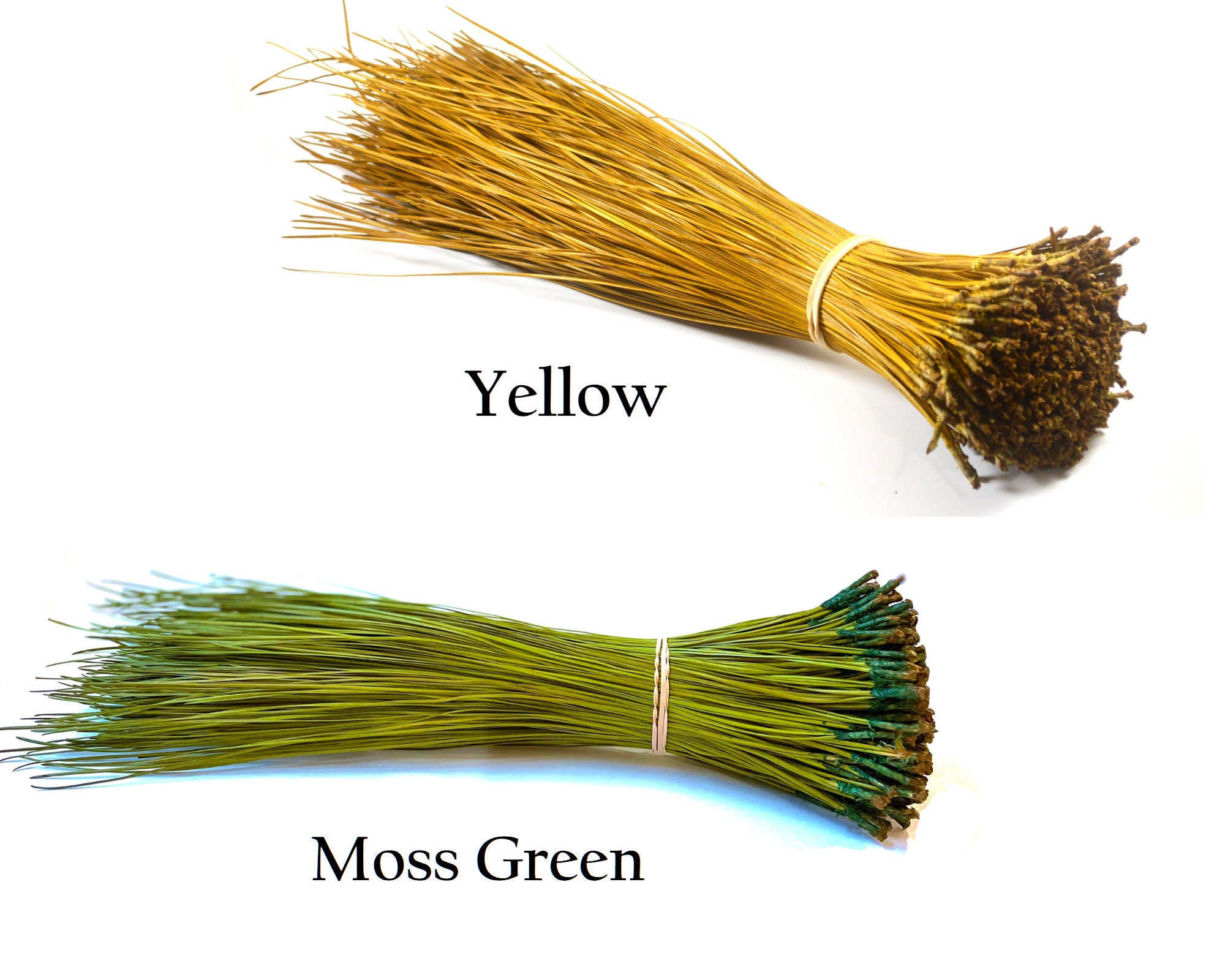 Up to 16 Inches Florida Long-leaf Dyed Pine Needles for Basket Making ...