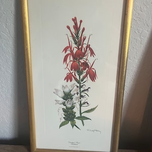 Wildlife Late Summer and Fall Wildflowers Set of 2 Framed Prints Ray ...